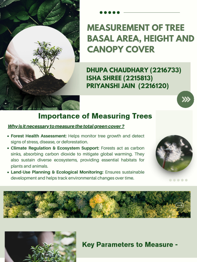 Measurement of Tree Basal Area, Height and Canopy Cover PDF | PDF ...