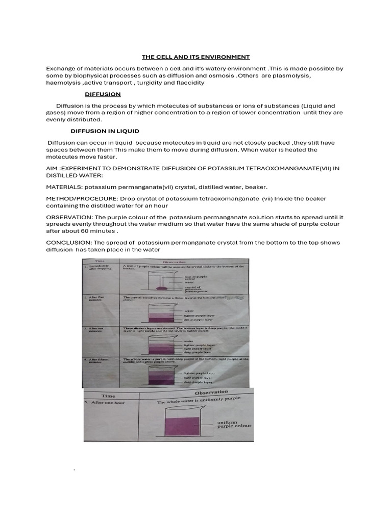 Cell and It's Environment (Diffusion) - 010555 | PDF | Diffusion | Stoma