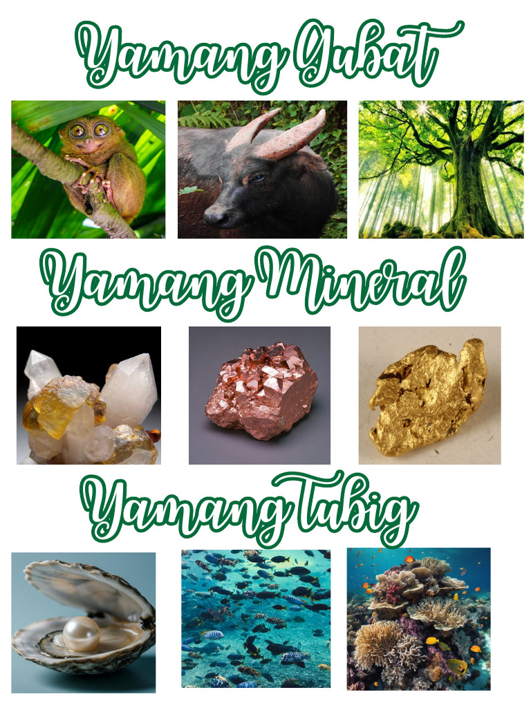 Yamang Tubig | PDF