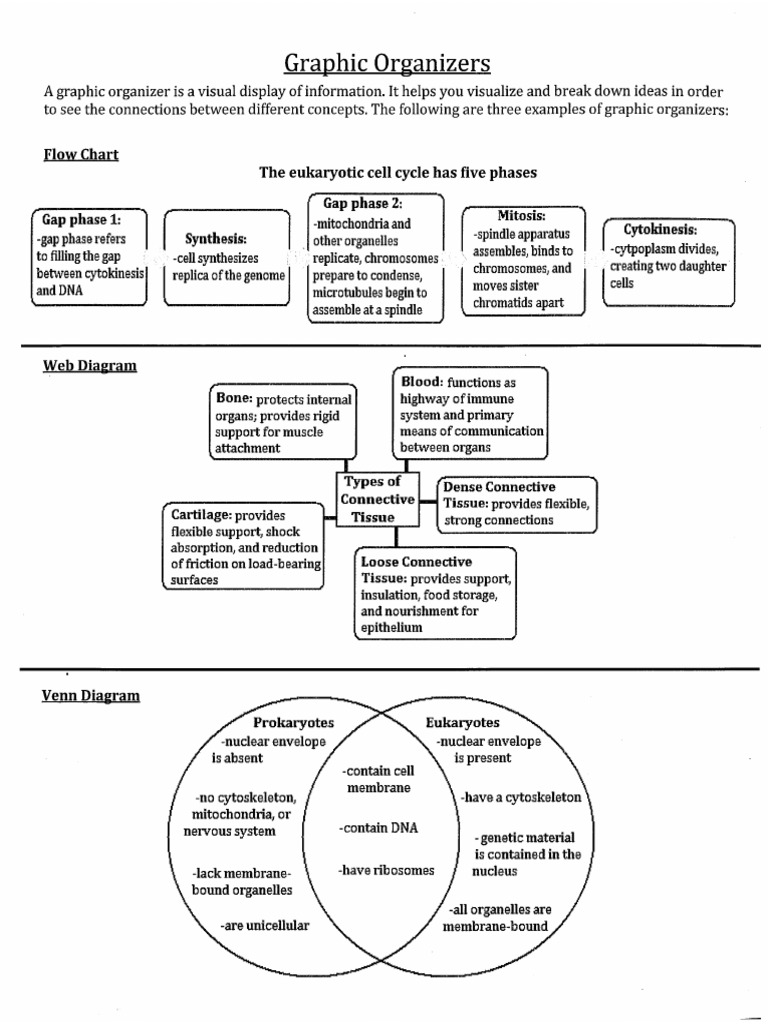 Graphic Organizers-3 | PDF