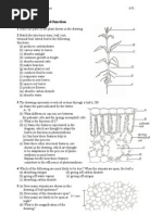 Worksheet Part 2 Plasma Membrane | PDF | Cell Membrane | Biotechnology
