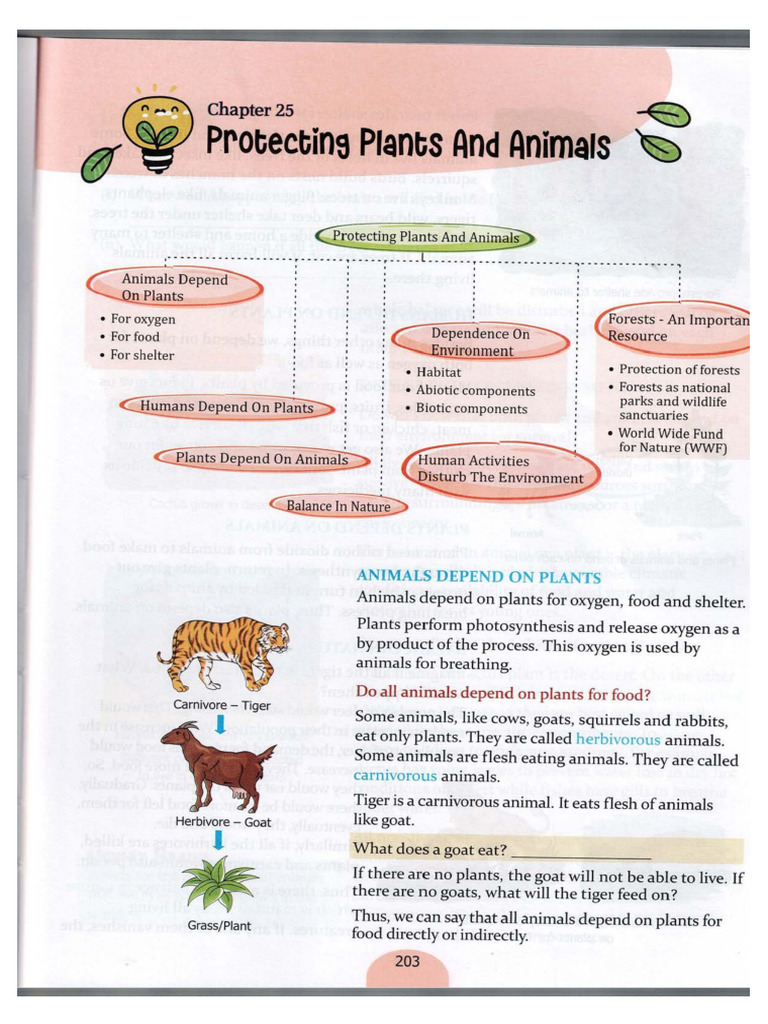 Protecting Plant and Animals | PDF