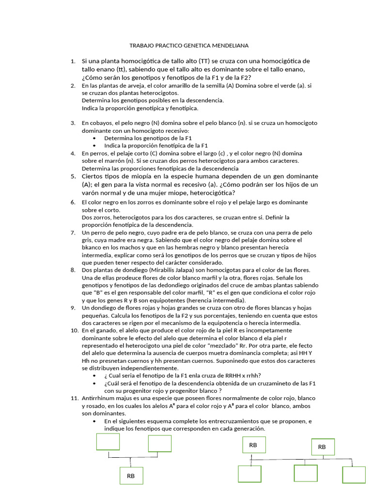 Trabajo Practico Genetica Mendeliana | PDF | Dominancia (Genética ...