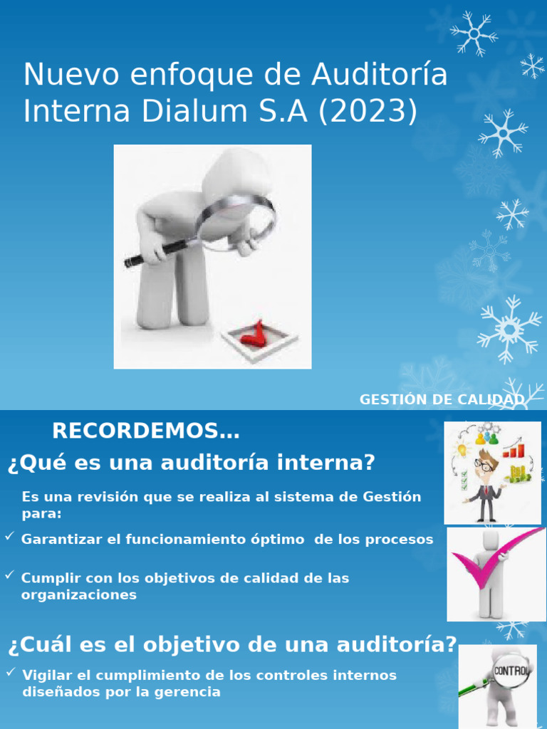 Nuevo Enfoque de Auditoría Interna Dialum S | PDF