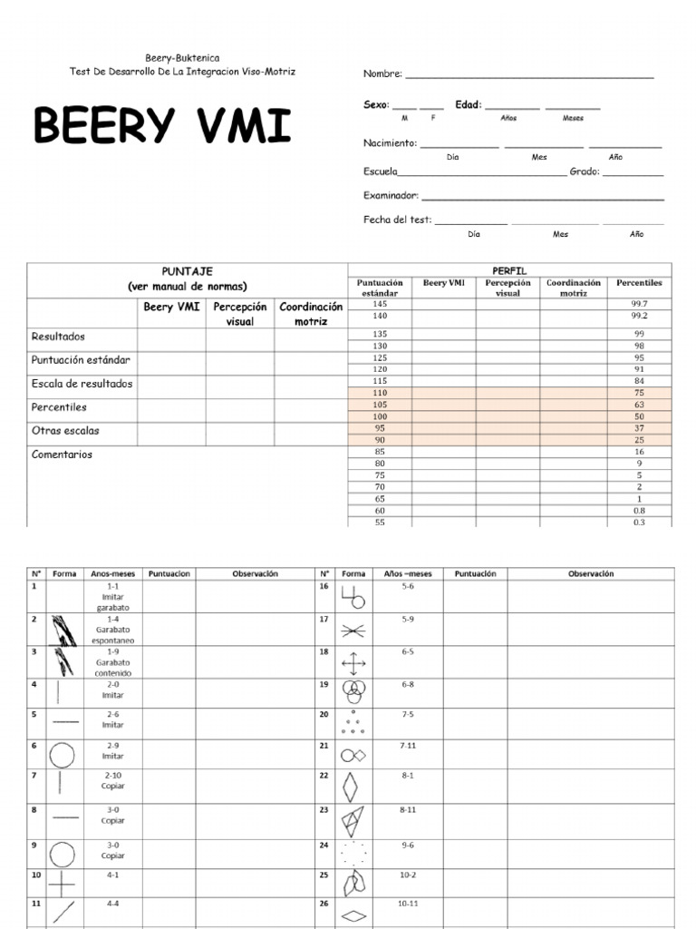 Beery Vmi | PDF