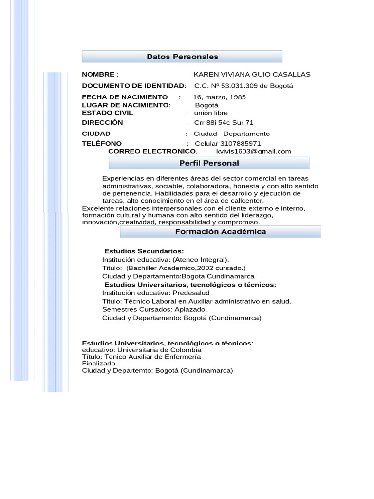 Perfil Profesional de Karen Guio Casallas | PDF