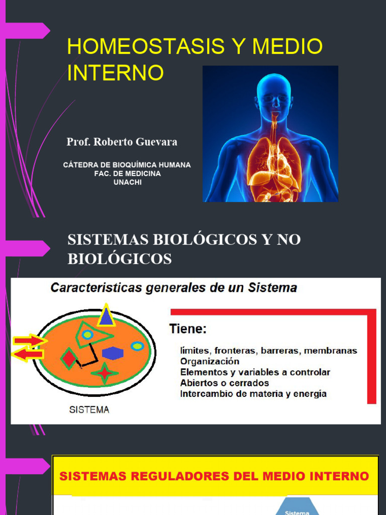Clase 1 - Homeostasis Del Medio Interno 2022 | PDF