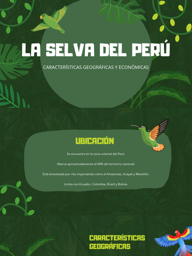 Presentación Juego Infantil Niños Jungla Selva Animales Ilustrativo ...