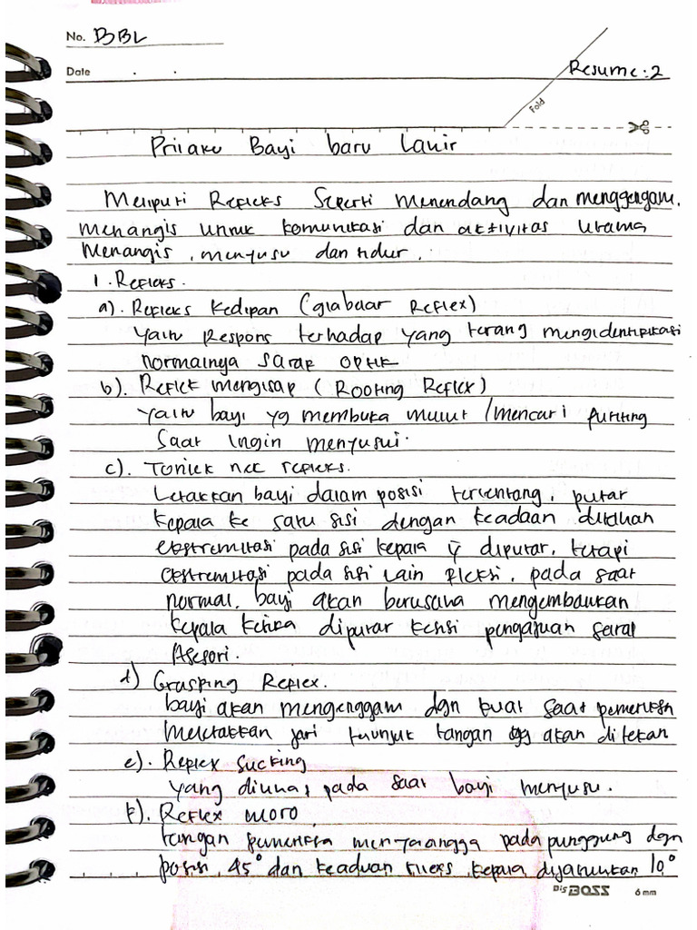 Resume Perilaku BBL | PDF