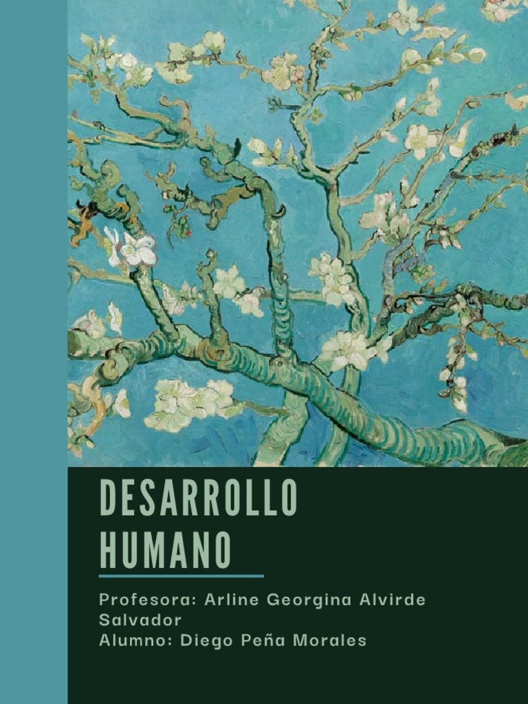 Des Arrollo | PDF