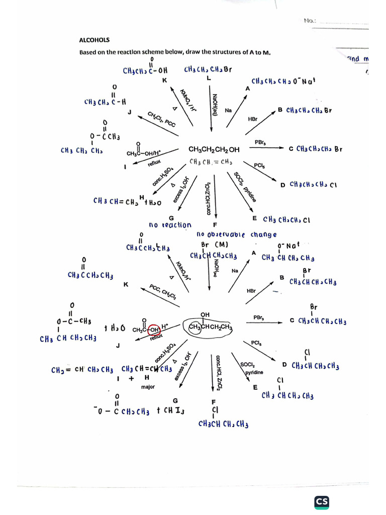 Mind Map | PDF
