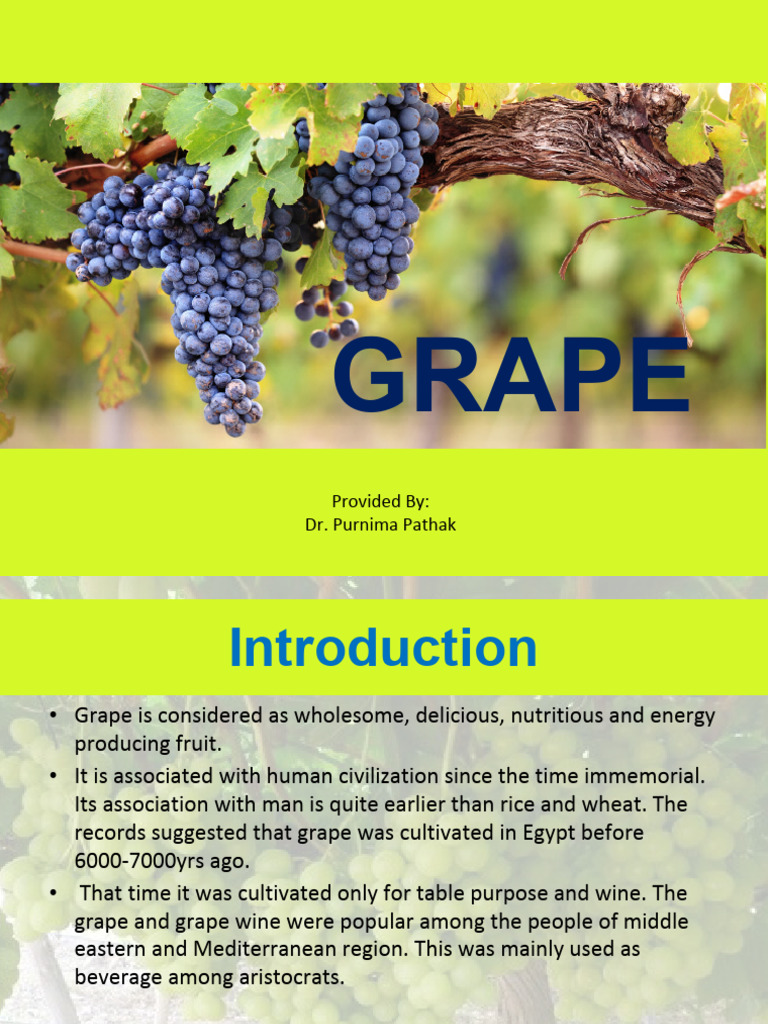 Comprehensive Guide to Grape Cultivation | PDF | Vitis | Grape