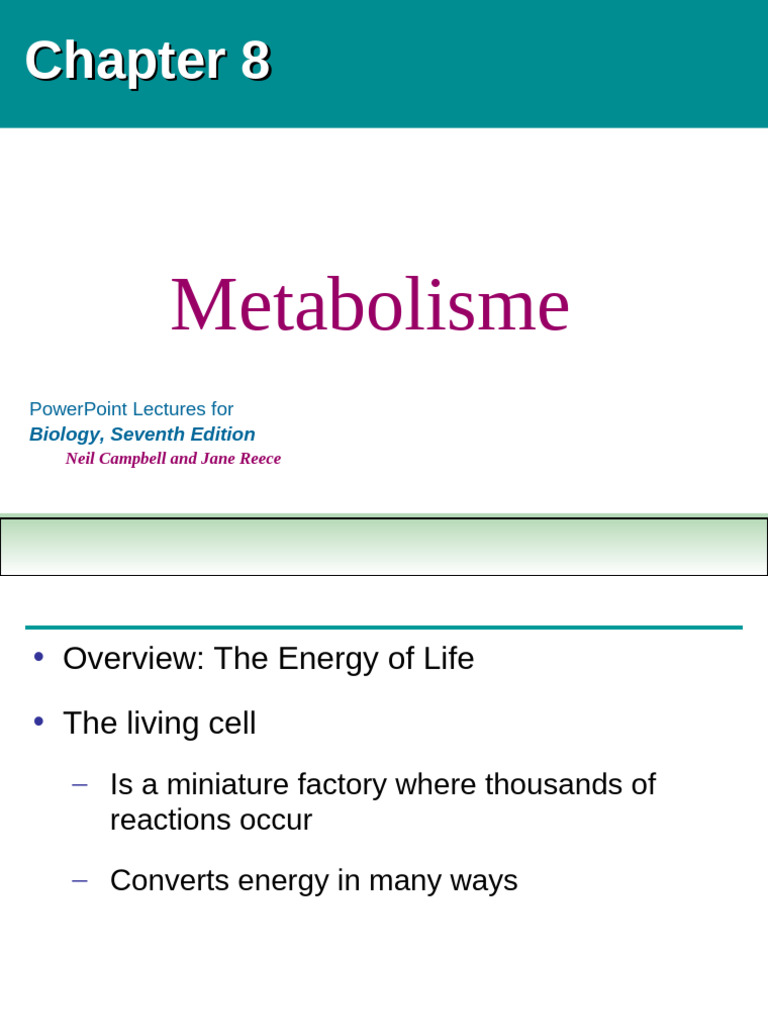 Chapter 8 Metabolism | PDF | Gibbs Free Energy | Metabolism