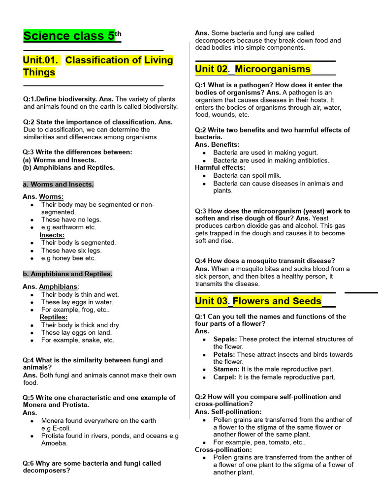 5th Grade Science: Living Things & More | PDF | Flowers | Water
