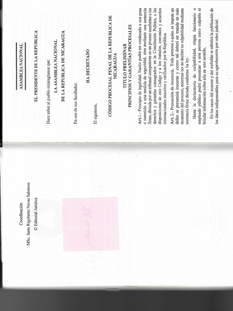 Principios CPP Art 1 Al 17 | PDF