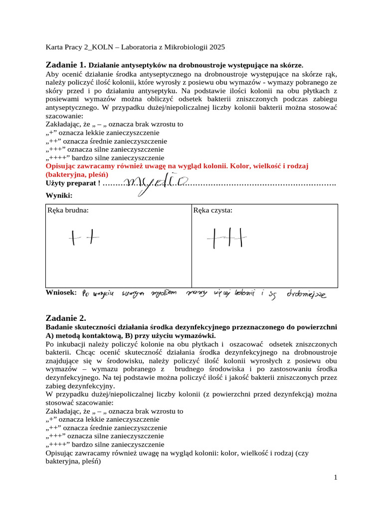 Karta Pracy 2 KOLN 2025 | PDF