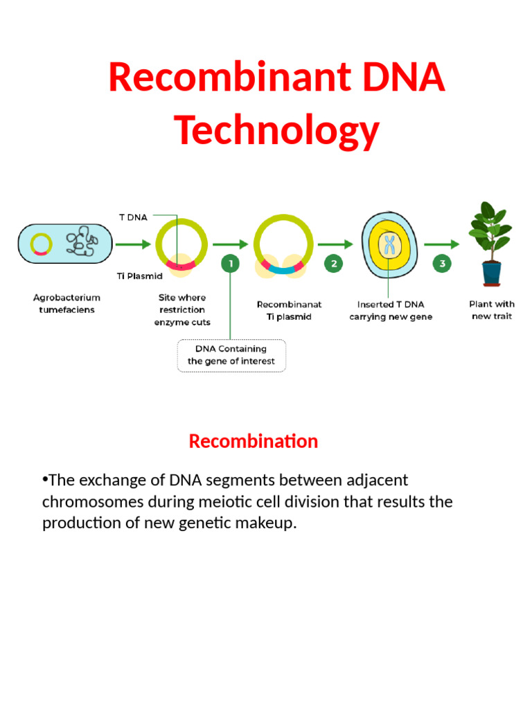 Overview of Recombinant DNA Technology | PDF | Plasmid | Mitochondrion