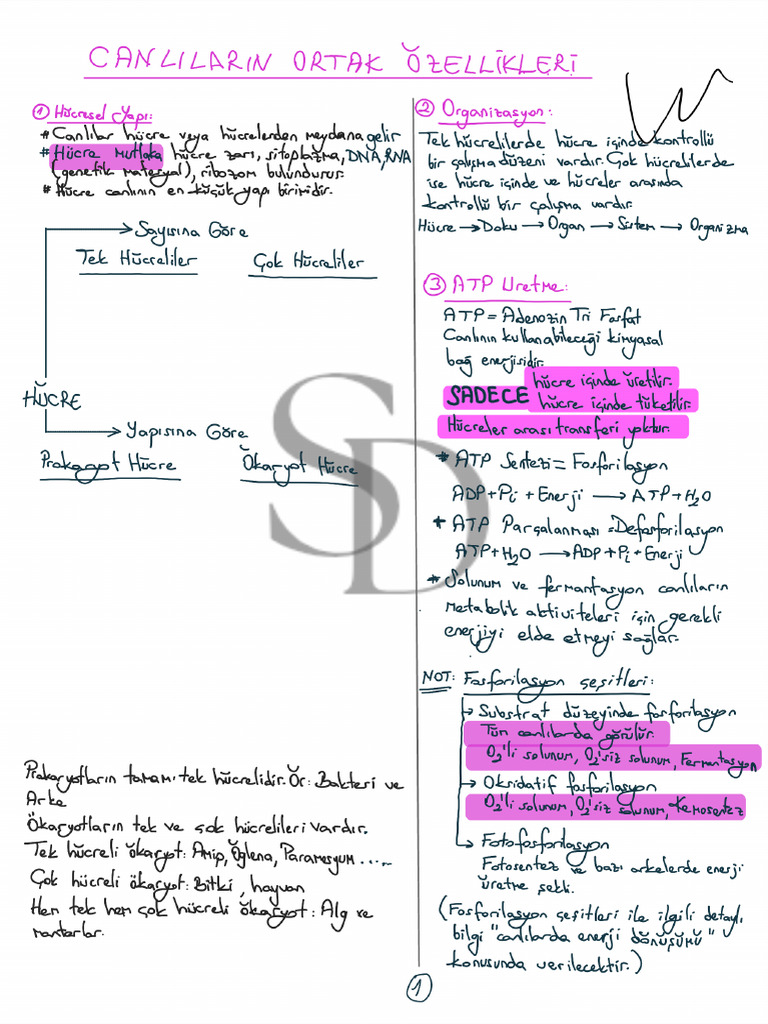 1 Bölüm-Canlıların Ortak Özellikleri - 250817 - 123926 | PDF