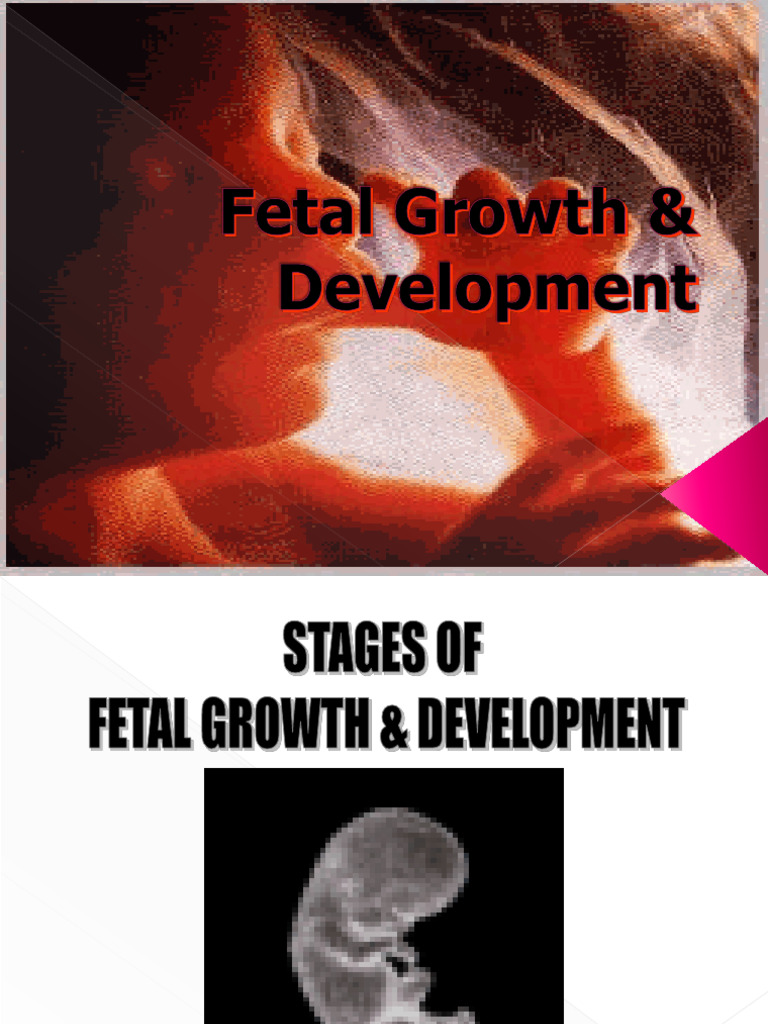 Fetal Growth and Devt | PDF | Fetus | Placenta