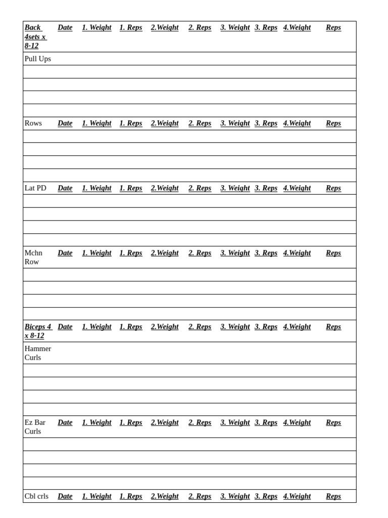 Work Out Plan Back and Bis | PDF