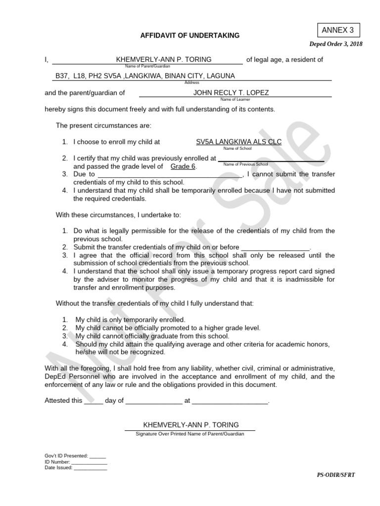 Annex 3 Affidavit of Undertaking DO 3 2018 | PDF | Justice | Crime & Violence