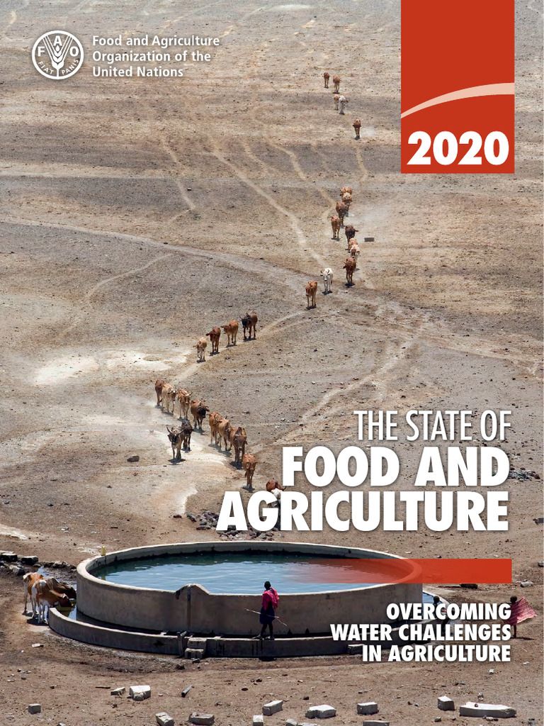Overcoming Water Challenges in Agriculture | PDF | Water Scarcity | Water
