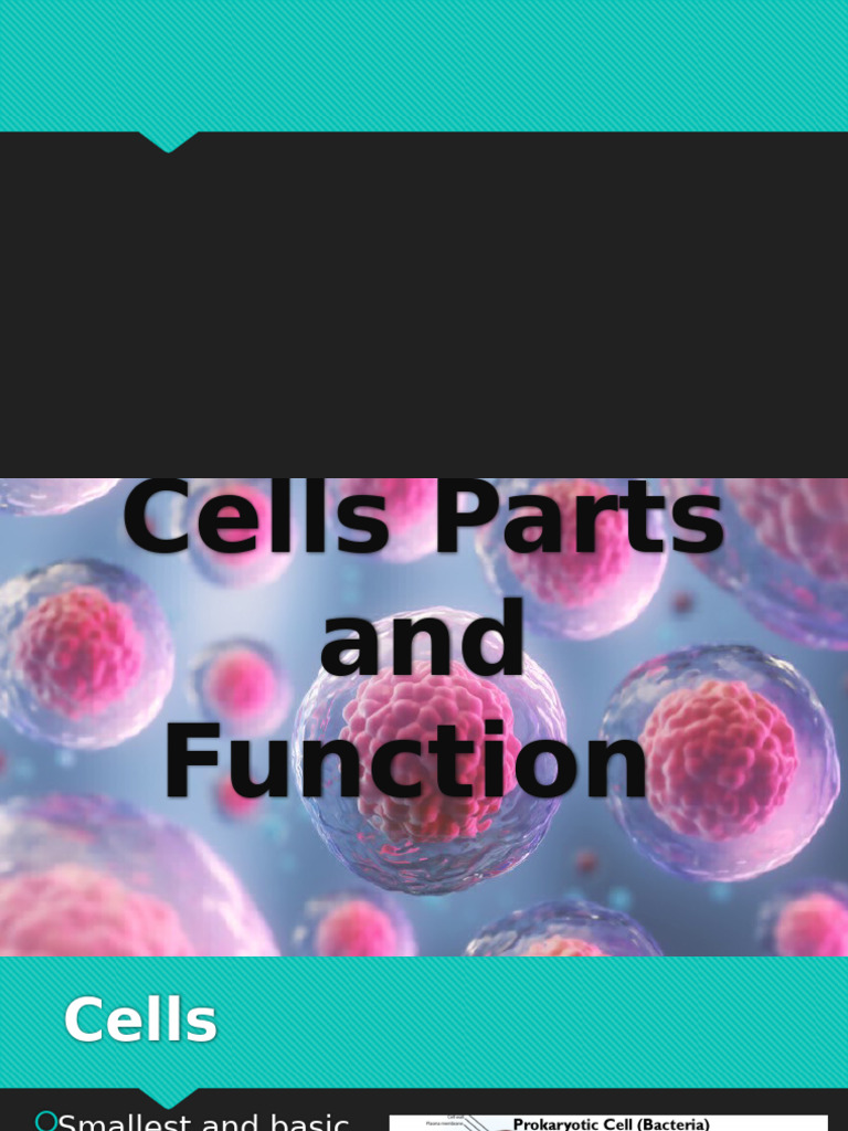 Cells Parts and Function | PDF | Cell (Biology) | Endoplasmic Reticulum