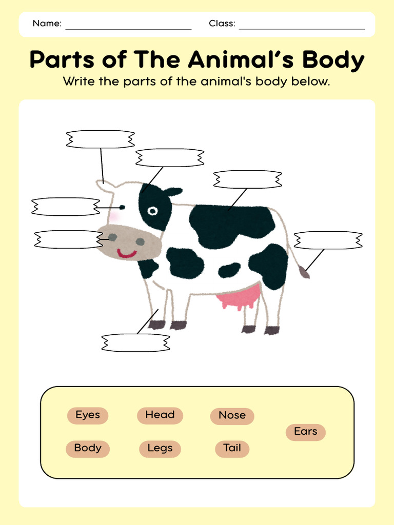 Animal Body Parts Worksheet | PDF