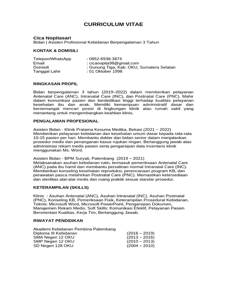 CV Cica Nopitasari Format | PDF