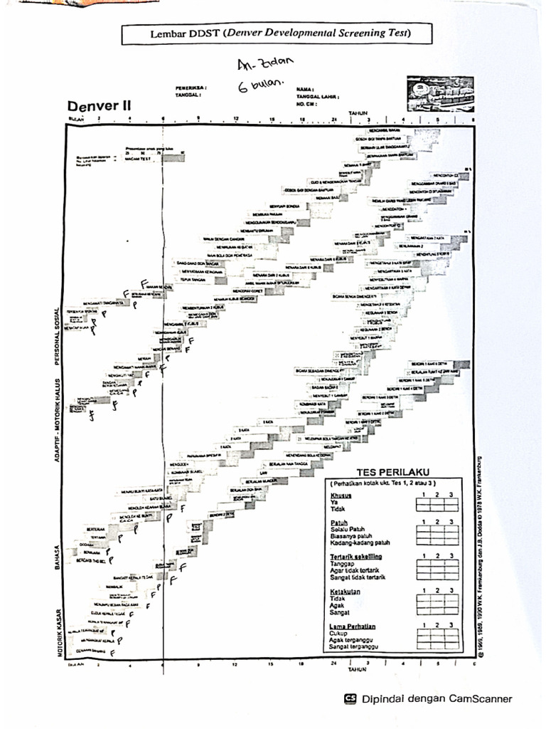 DDST | PDF