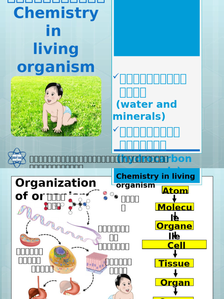 Chemistry in Living Organism | PDF