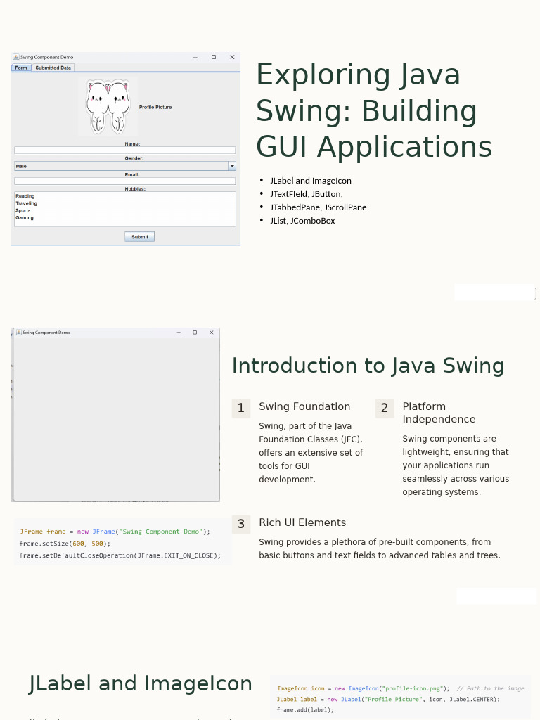 Exploring Java Swing Building GUI Applications | PDF | Graphical User ...