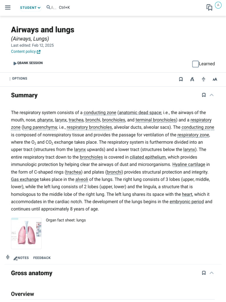 Airways and Lungs - AMBOSS | PDF