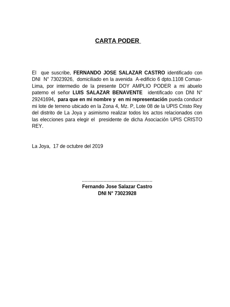 Carta Poder para Representación Legal | PDF