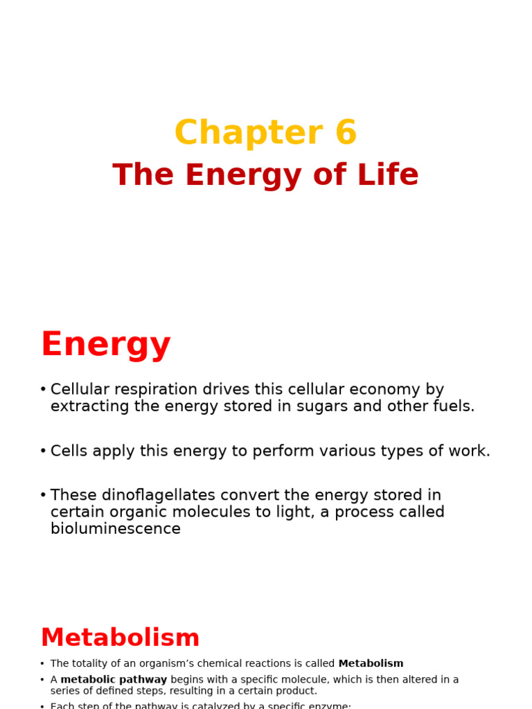 AP Biology Unit 2 CH 6 The Energy of Life | PDF | Enzyme | Enzyme Inhibitor