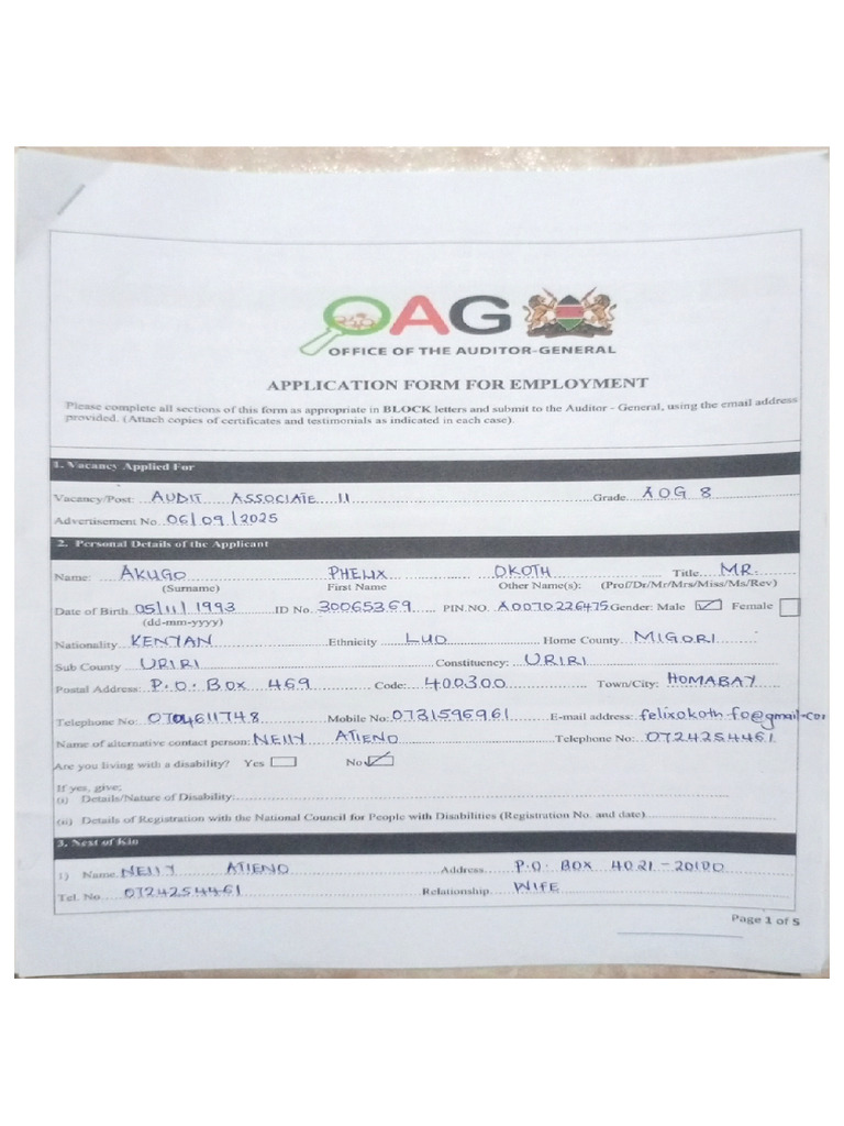 Audit Associate II | PDF