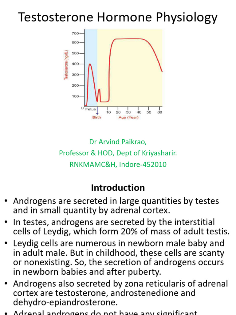 Testosterone Physiology | PDF | Testosterone | Androgen
