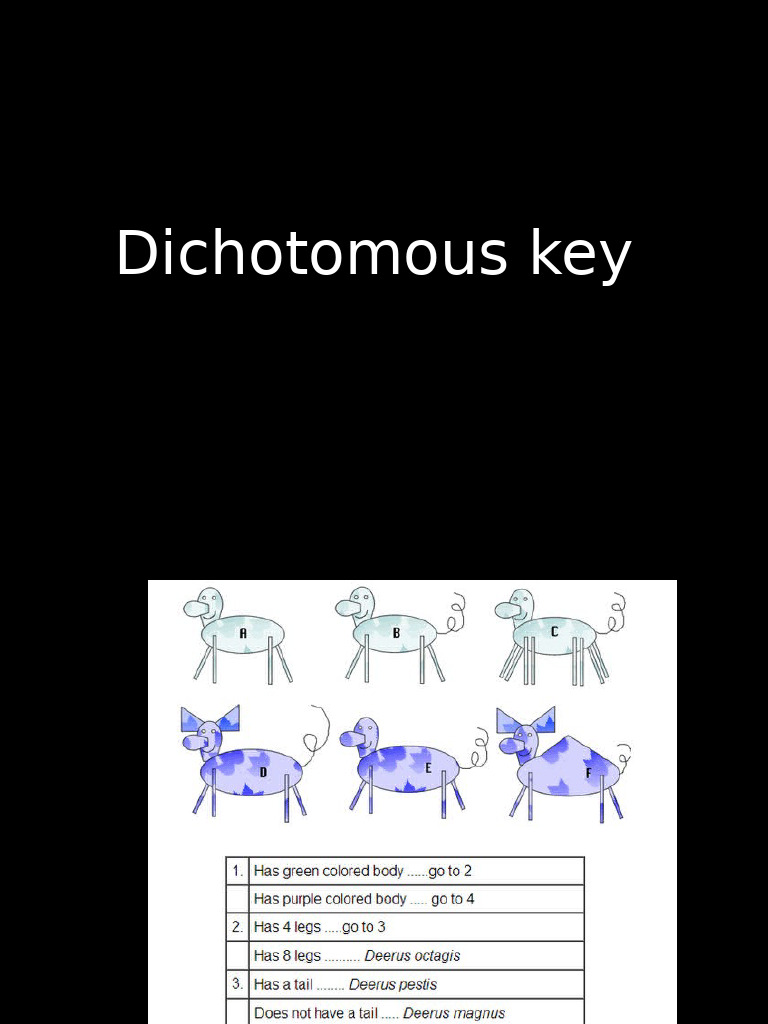 Dichotomous Key Practice | PDF