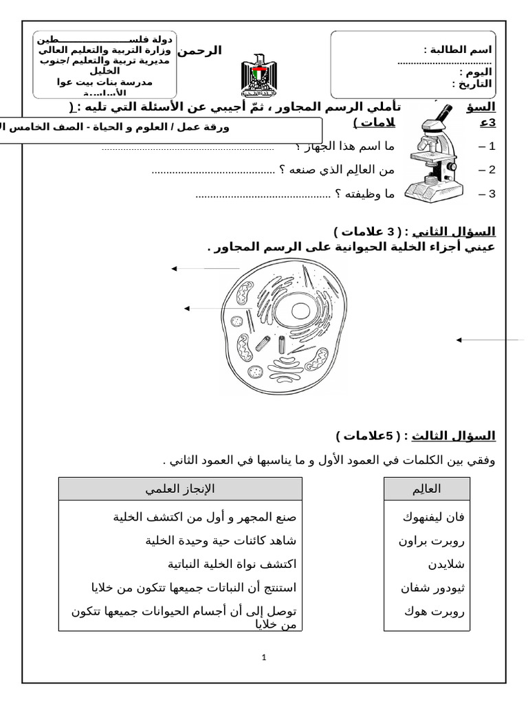 We Pal 150674498975812 | PDF