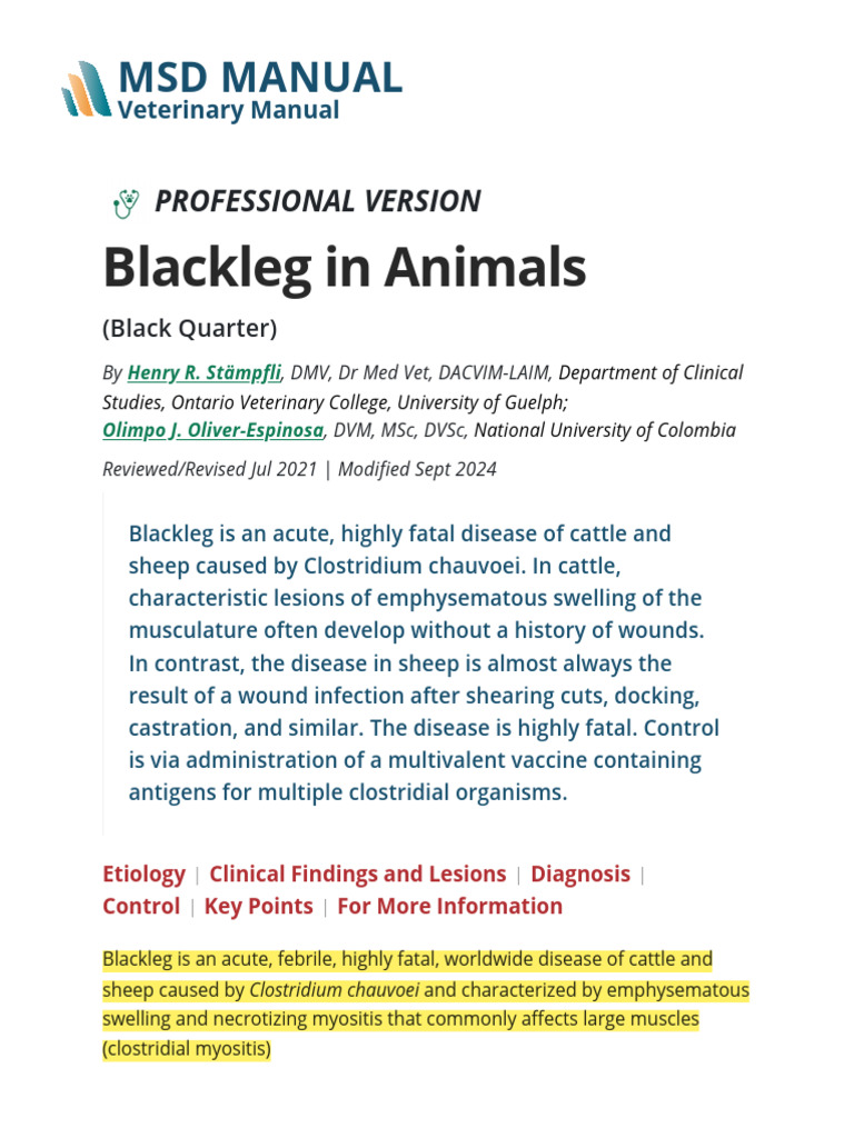 Understanding Blackleg in Cattle and Sheep | PDF | Vaccines | Sheep