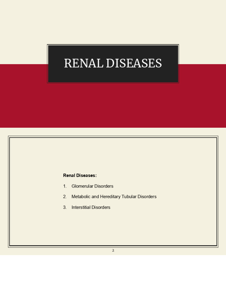 Renal Diseases and Calculi | PDF | Kidney | Urinary System