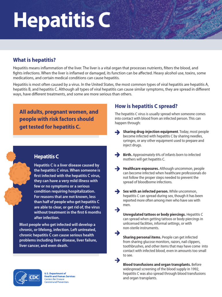 He PC General Fact Sheet | PDF | Hepatitis C | Hepatitis