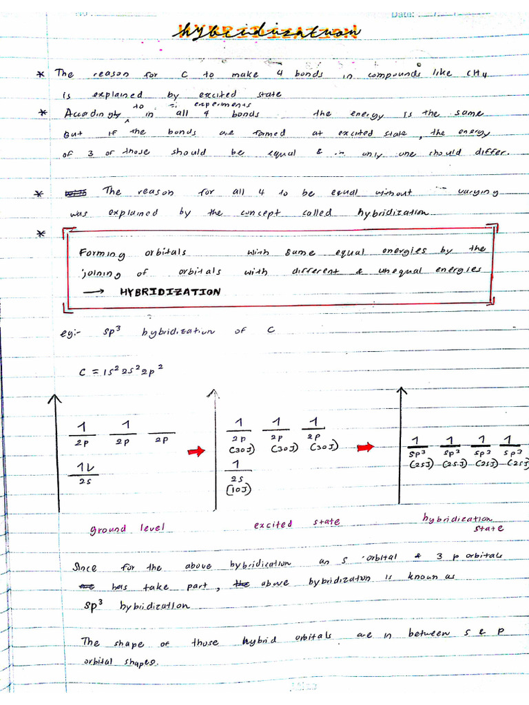 Hybridisation | PDF