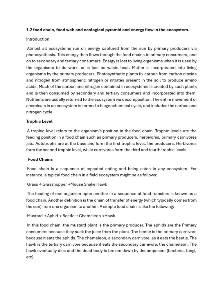 1.2 Food Chain, Food Web and Ecological Pyramid and Energy Flow in ...