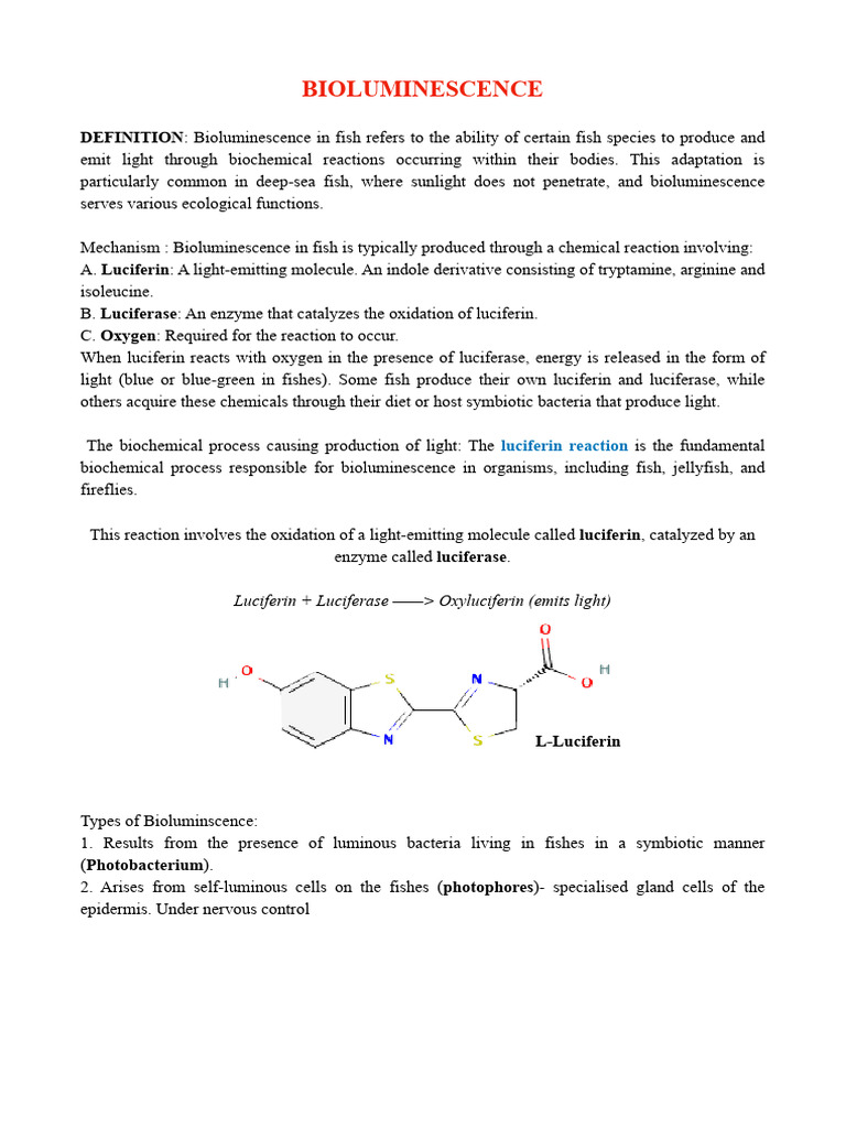 Bioluminescence | PDF | Biology