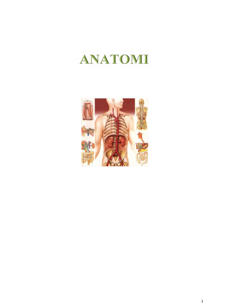 Modul Praktikum Anatomi 2024 | PDF