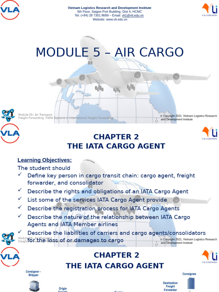 IATA Cargo Agent Overview and Roles | PDF | Cargo | Logistics
