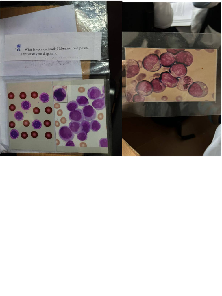 Charts Pathology 2IA | PDF