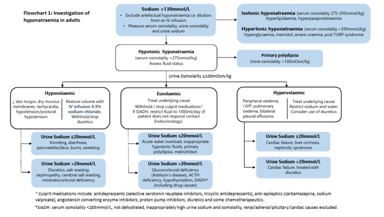 195 Hyponatraemia Flowchart 1 Final 200717e | PDF | Endocrine System ...