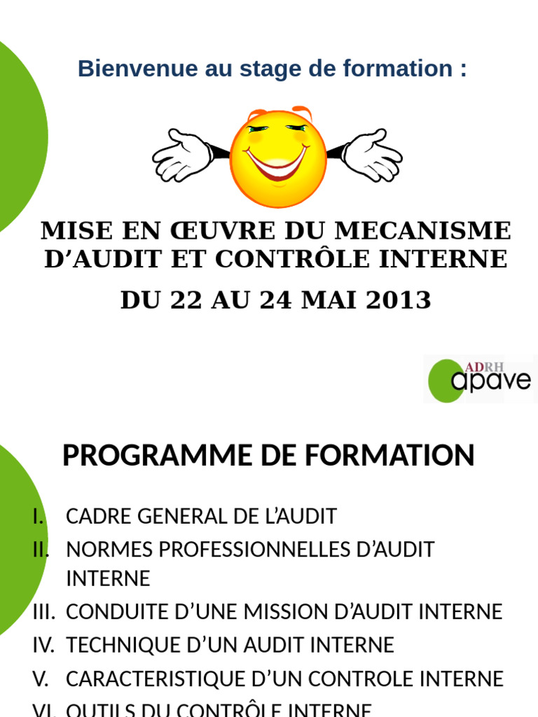 Formation sur l'Audit et Contrôle Interne | PDF | Audit | Audit financier